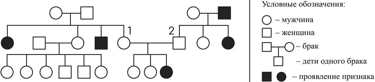 Задание №31288: По изображённой на рисунке родословной определите ...