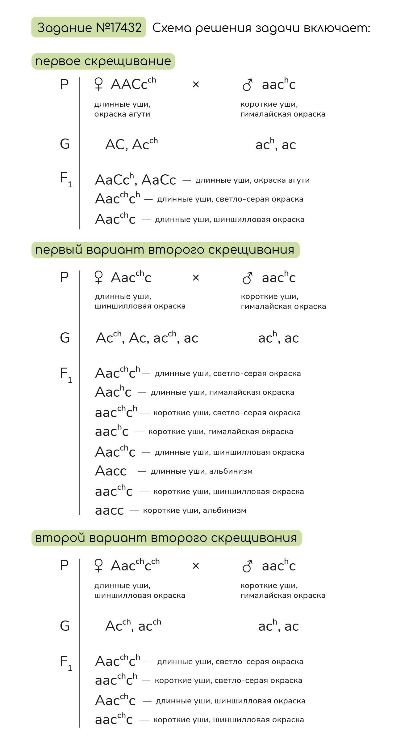 Задание №17432: У кроликов ген, отвечающий за окраску шерсти ...